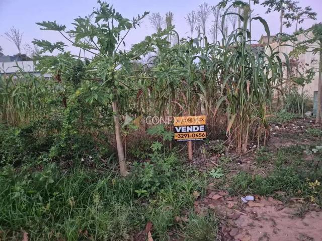Terreno / Lote para Venda em Campinas/SP Bosque das Palmeiras