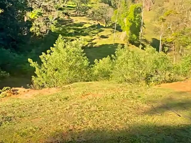 Terreno / Lote para Venda em Campinas/SP Cambuí