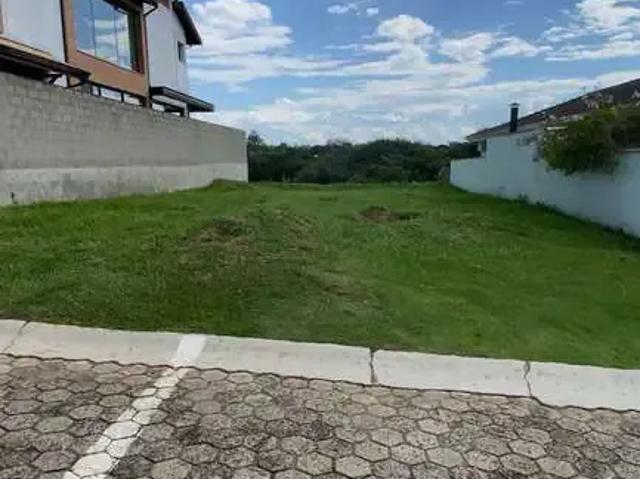 Terreno / Lote para Venda em Campinas/SP Chácara Santa Margarida