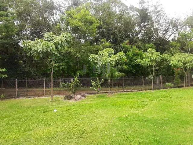 Terreno / Lote para Venda em Campinas/SP Chácara Santa Margarida