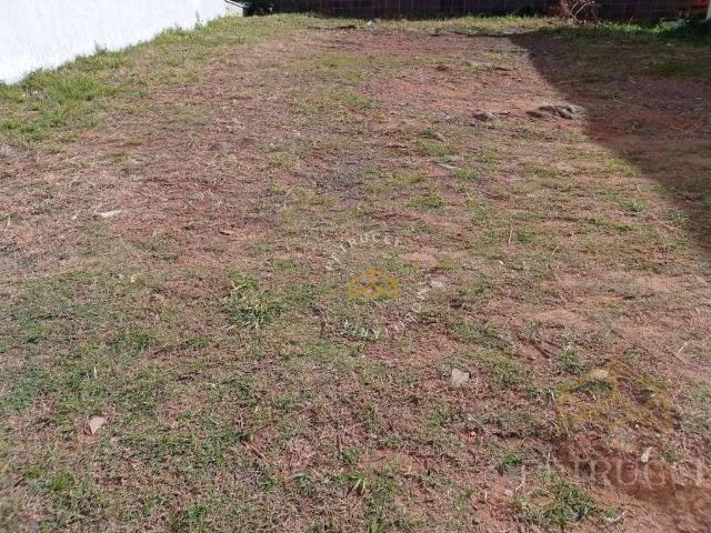 Terreno / Lote para Venda em Campinas/SP Cidade Universitária