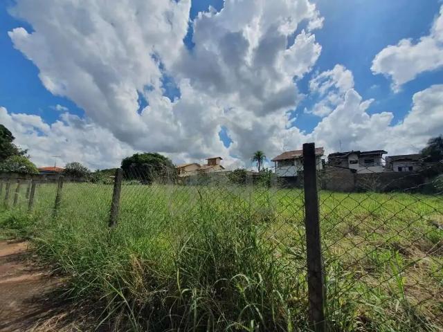 Terreno / Lote para Venda em Campinas/SP Cidade Universitária