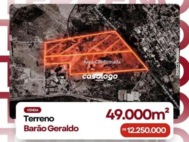 Terreno / Lote para Venda em Campinas/SP Cidade Universitária