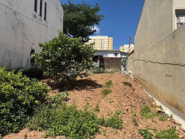Terreno / Lote para Venda em Campinas/SP Jardim Cura D'Ars