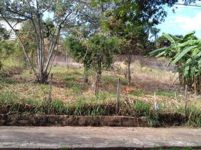 Terreno / Lote para Venda em Campinas/SP Jardim das Paineiras