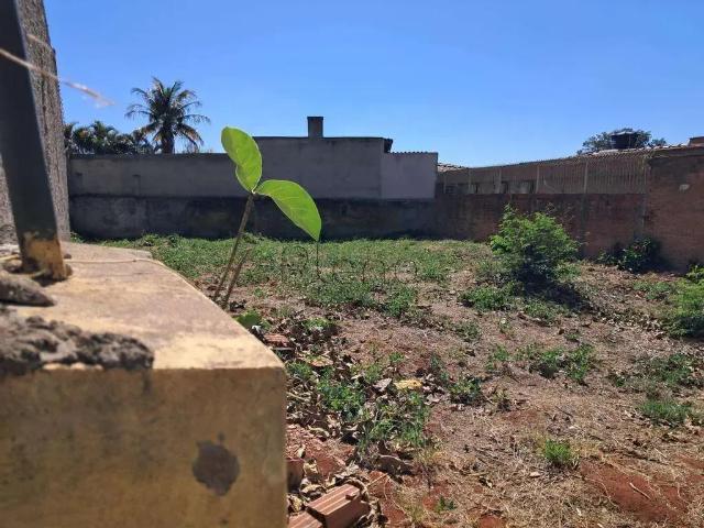 Terreno / Lote para Venda em Campinas/SP Jardim Guanabara