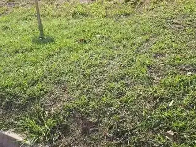 Terreno / Lote para Venda em Campinas/SP Jardim Ibirapuera