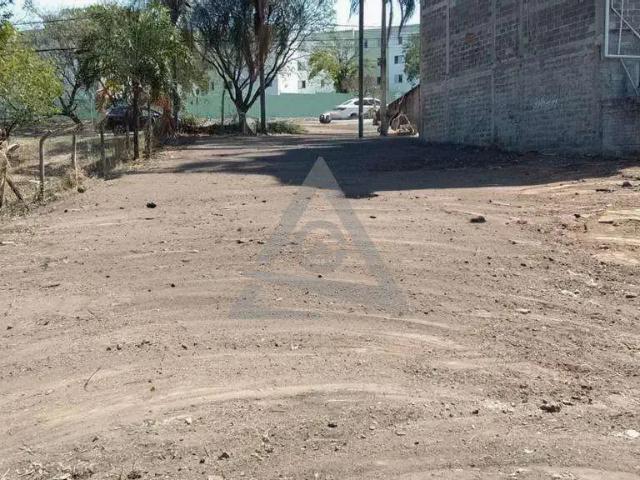 Terreno / Lote para Venda em Campinas/SP Jardim Indianópolis