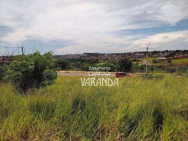 Terreno / Lote para Venda em Campinas/SP Jardim Ipaussurama