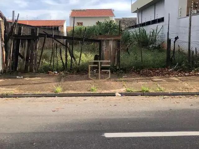 Terreno / Lote para Venda em Campinas/SP Jardim Leonor