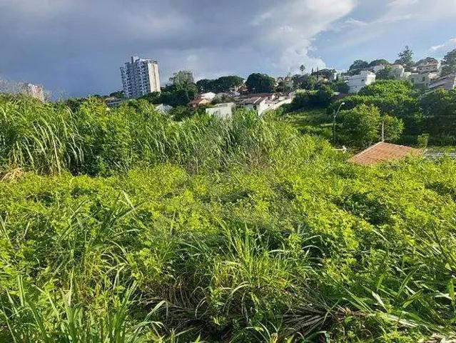 Terreno / Lote para Venda em Campinas/SP Jardim Lumen Christi