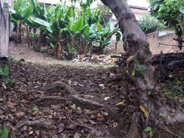 Terreno / Lote para Venda em Campinas/SP Jardim Martinelli Sousas