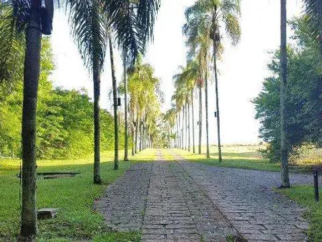 Terreno / Lote para Venda em Campinas/SP Jardim Martinelli Sousas