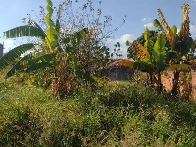 Terreno / Lote para Venda em Campinas/SP Jardim Nova América