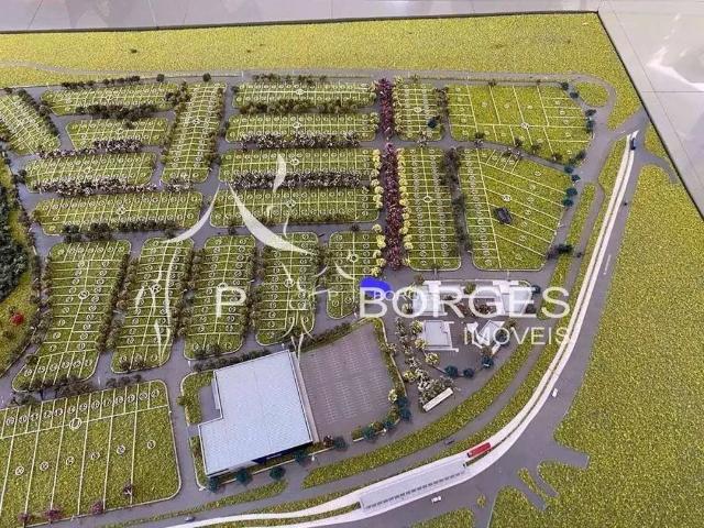 Terreno / Lote para Venda em Campinas/SP Jardim Paulicéia