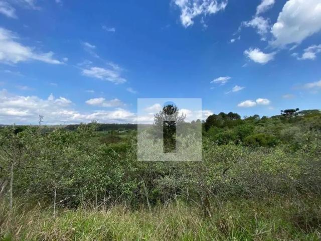 Terreno / Lote para Venda em Campinas/SP Joaquim Egídio
