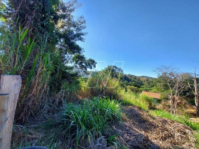 Terreno / Lote para Venda em Campinas/SP Joaquim Egídio