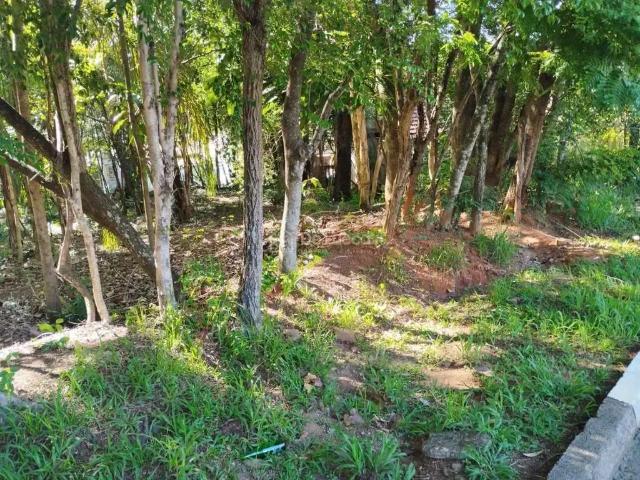 Terreno / Lote para Venda em Campinas/SP Joaquim Egídio
