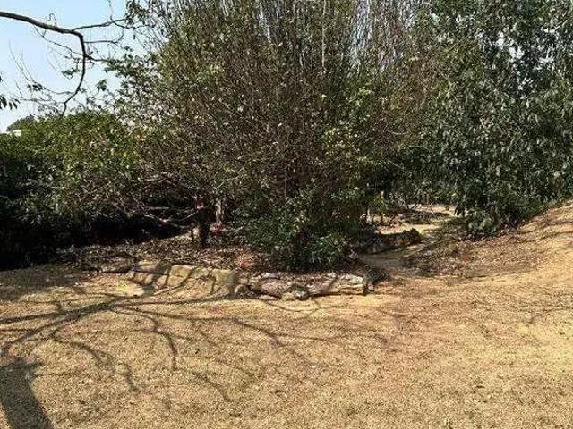 Terreno / Lote para Venda em Campinas/SP Loteamento Caminhos de San Conrado Sousas