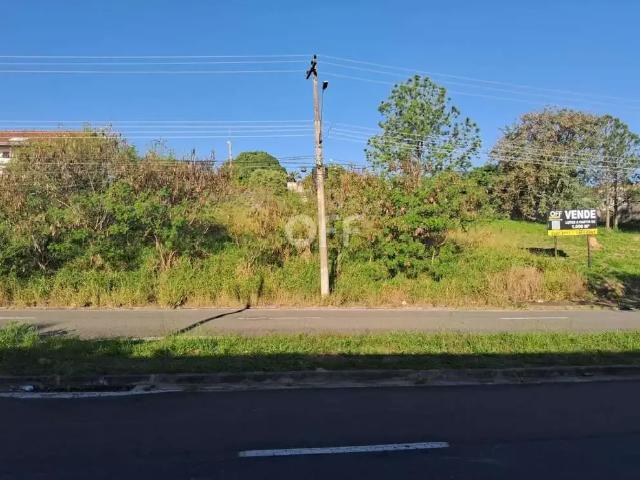 Terreno / Lote para Venda em Campinas/SP Loteamento Alphaville Campinas