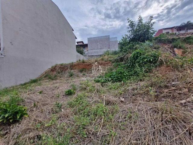Terreno / Lote para Venda em Campinas/SP Loteamento Parque São Martinho
