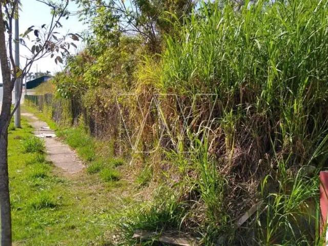 Terreno / Lote para Venda em Campinas/SP Loteamento Residencial Entre Verdes Sousas
