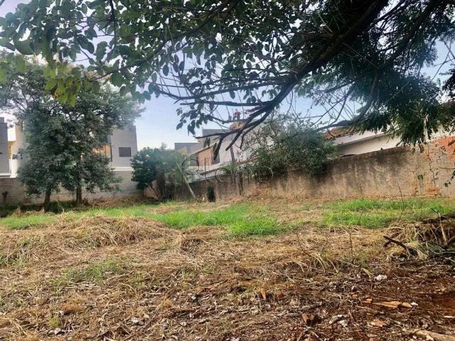 Terreno / Lote para Venda em Campinas/SP Parque Taquaral
