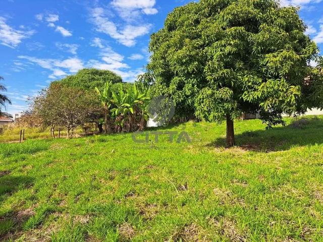 Terreno / Lote para Venda em Campinas/SP Parque das Universidades