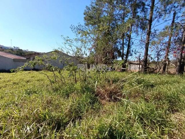 Terreno / Lote para Venda em Campinas/SP Parque dos Pomares