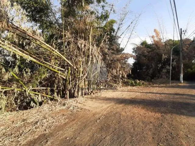 Terreno / Lote para Venda em Campinas/SP Parque Jatibaia Sousas