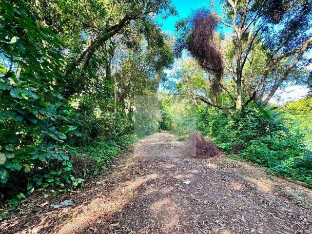 Terreno / Lote para Venda em Campinas/SP Parque Jatibaia Sousas
