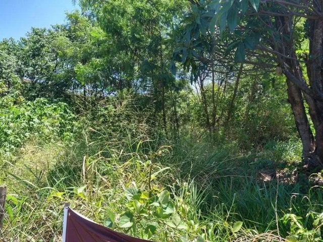 Terreno / Lote para Venda em Campinas/SP Parque Rural Fazenda Santa Cândida