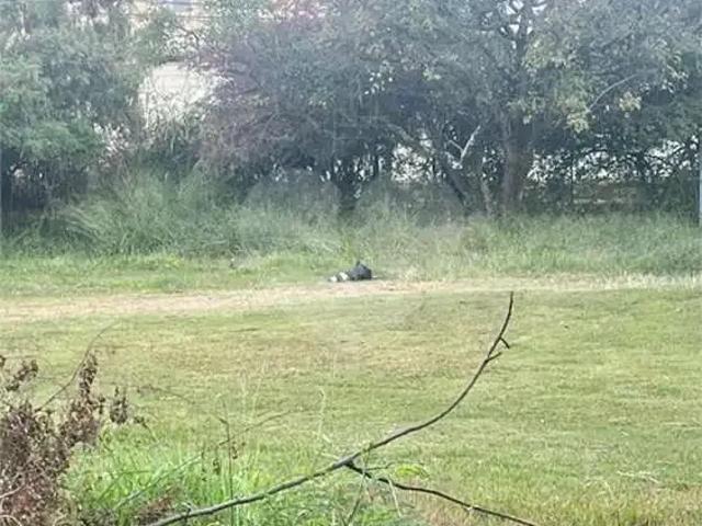 Terreno / Lote para Venda em Campinas/SP Parque Rural Fazenda Santa Cândida