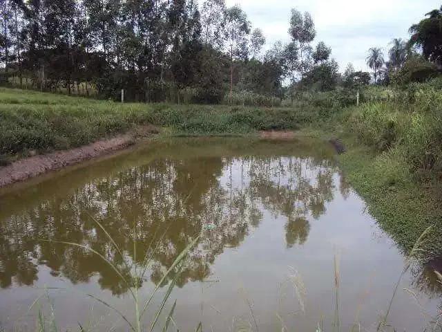Terreno / Lote para Venda em Campinas/SP Piracambaia I