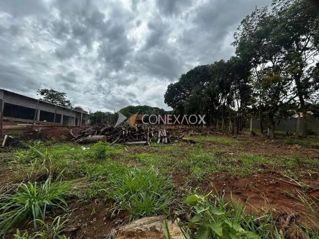 Terreno / Lote para Venda em Campinas/SP Recanto dos Dourados