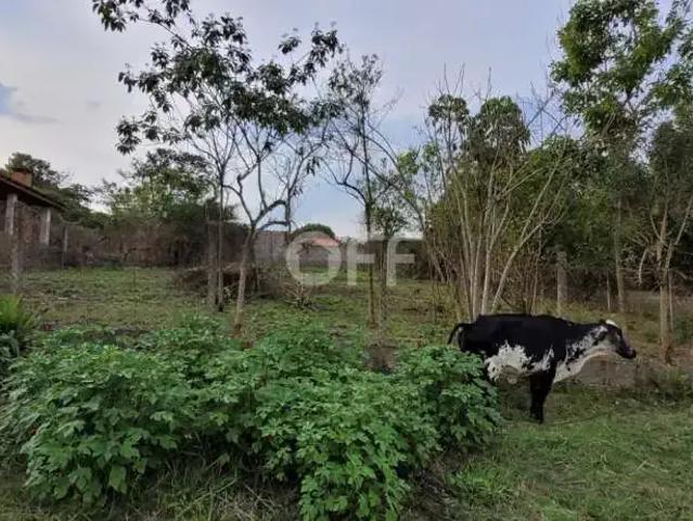 Terreno / Lote para Venda em Campinas/SP Recanto dos Dourados