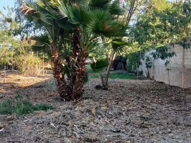 Terreno / Lote para Venda em Campinas/SP Recanto Fortuna