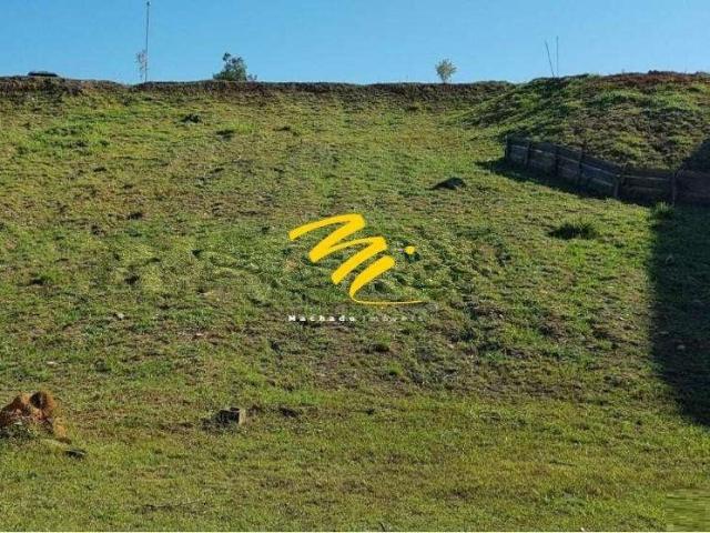Terreno / Lote para Venda em Campinas/SP Residencial Jatibela