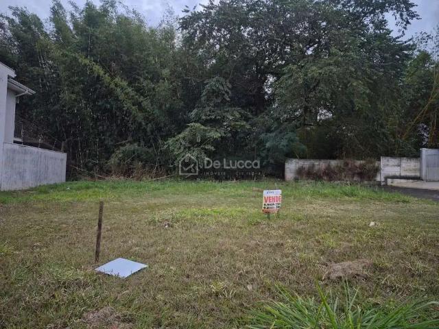 Terreno / Lote para Venda em Campinas/SP Residencial Terras do Barão