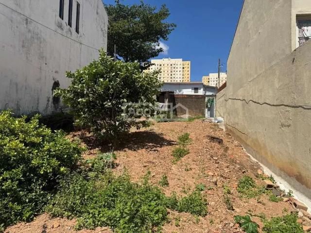 Terreno / Lote para Venda em Campinas/SP Swift