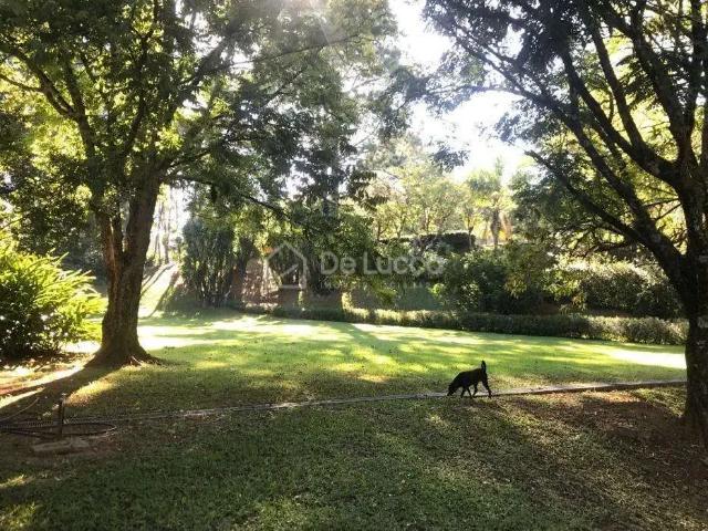 Terreno / Lote para Venda em Campinas/SP Sítios de Recreio Gramado