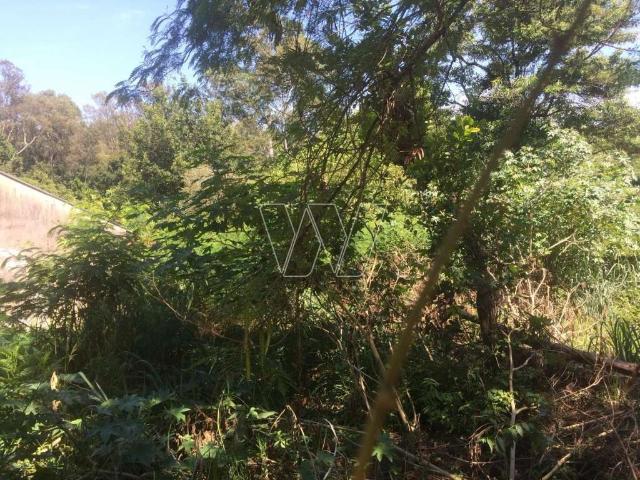 Terreno / Lote para Venda em Campinas/SP Sousas