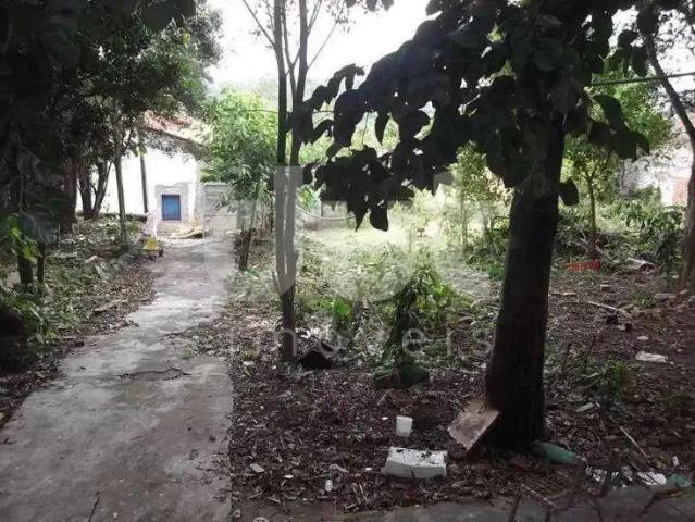 Terreno / Lote para Venda em Campinas/SP Vila Industrial