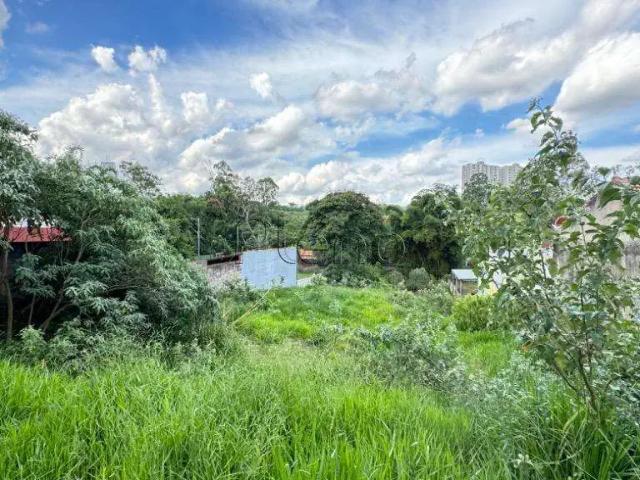 Terreno / Lote para Venda em Campinas/SP Vila Ipê