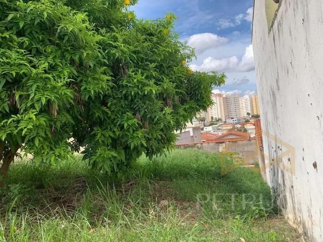 Terreno / Lote para Venda em Campinas/SP Vila Santana