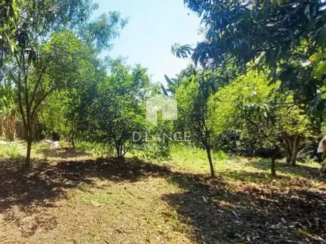 Terreno / Lote para Venda em Campinas/SP Village Campinas