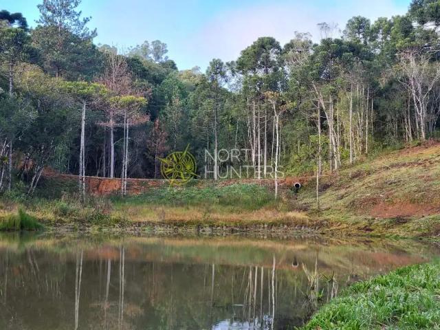 Terreno / Lote para Venda em Campo Alegre/SC Zona Rural