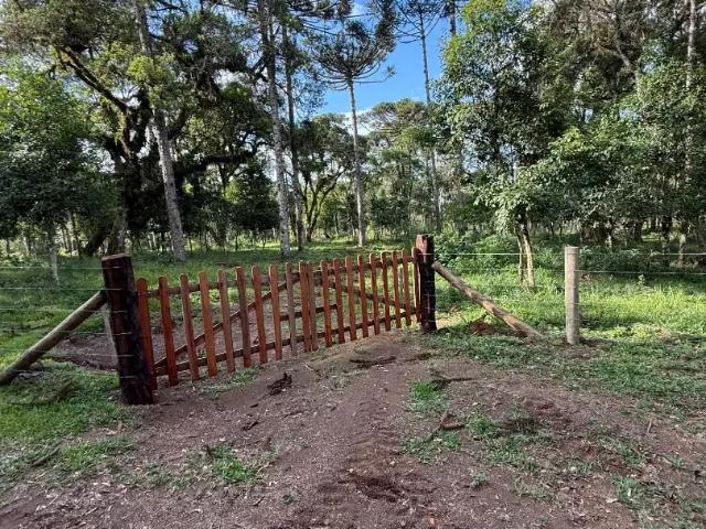 Terreno / Lote para Venda em Campo Alegre/SC Avenquinha