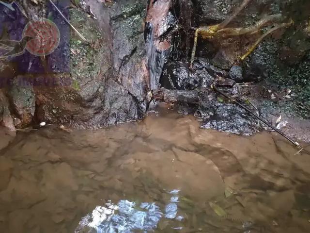 Terreno / Lote para Venda em Campo Alegre/SC Bateias de Baixo