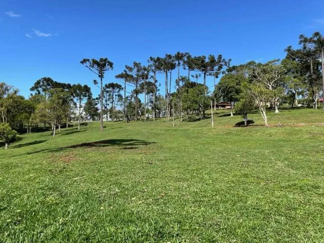 Terreno / Lote para Venda em Campo Alegre/SC Bateias de Baixo